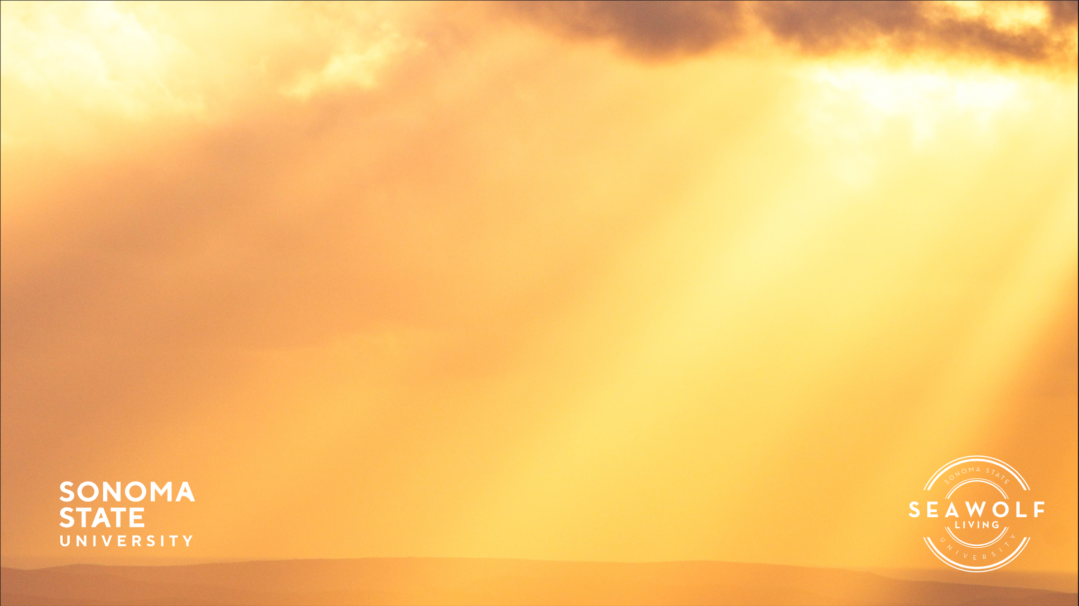 March Zoom Backgrounds — SEAWOLF LIVING