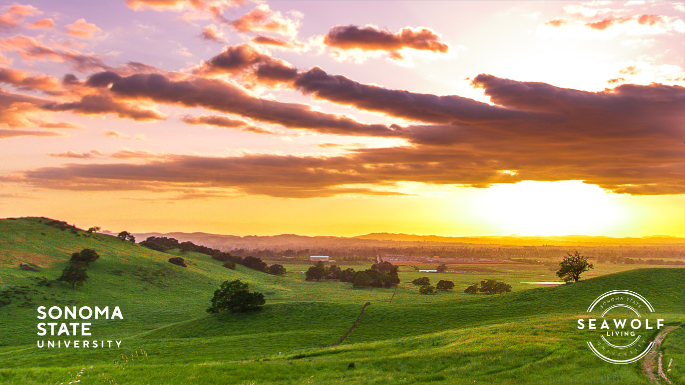 May Zoom Backgrounds — SEAWOLF LIVING