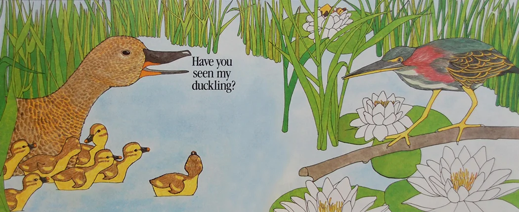 Have You Seen My Duckling? — Nancy Tafuri