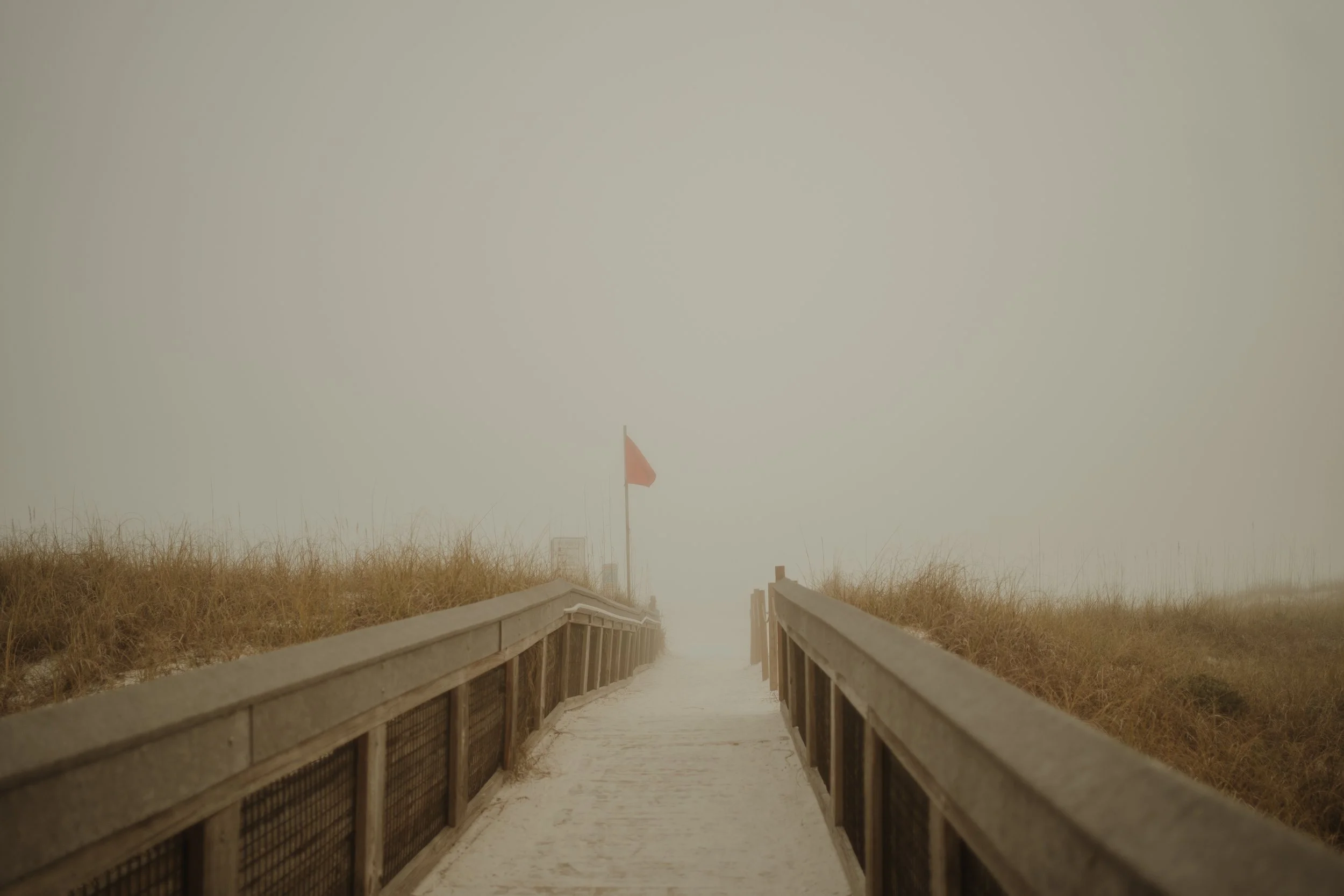 Cedar Relics Photography + Films