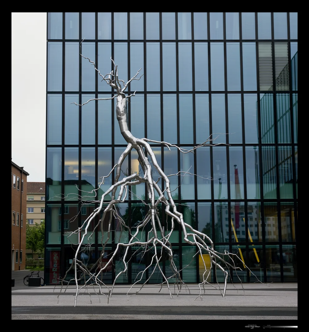 About — Roxy Paine
