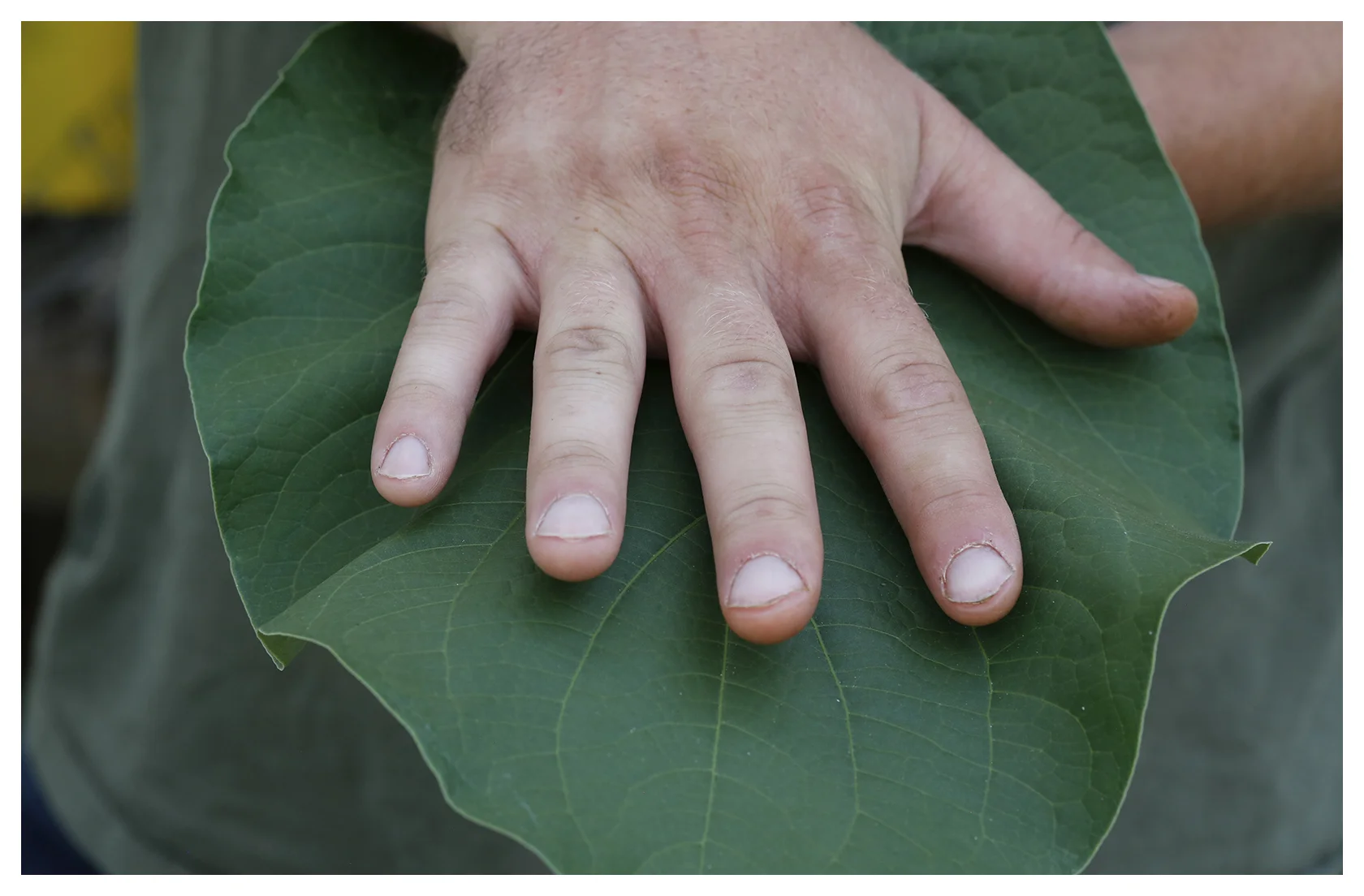 The Garden — Odd Produce, Inc.