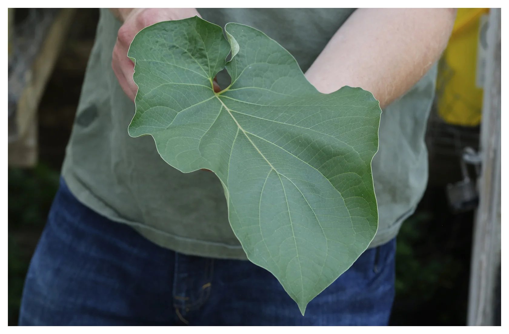 The Garden — Odd Produce, Inc.