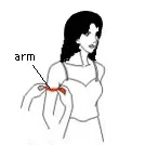 Measurement Guide for Dresses — Jasmine's Bridal Shop