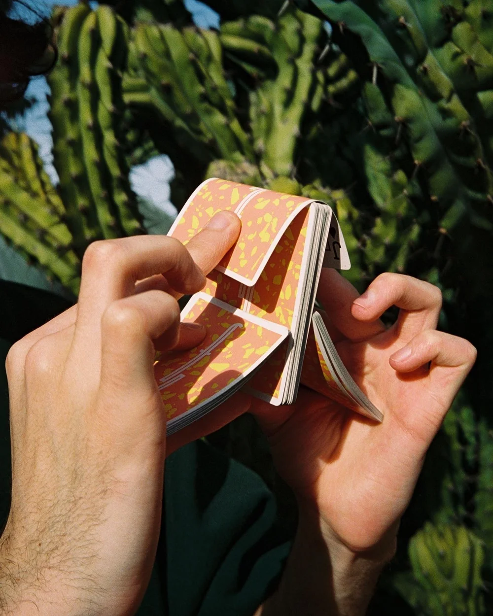 Fantasies — FONTAINE CARDS