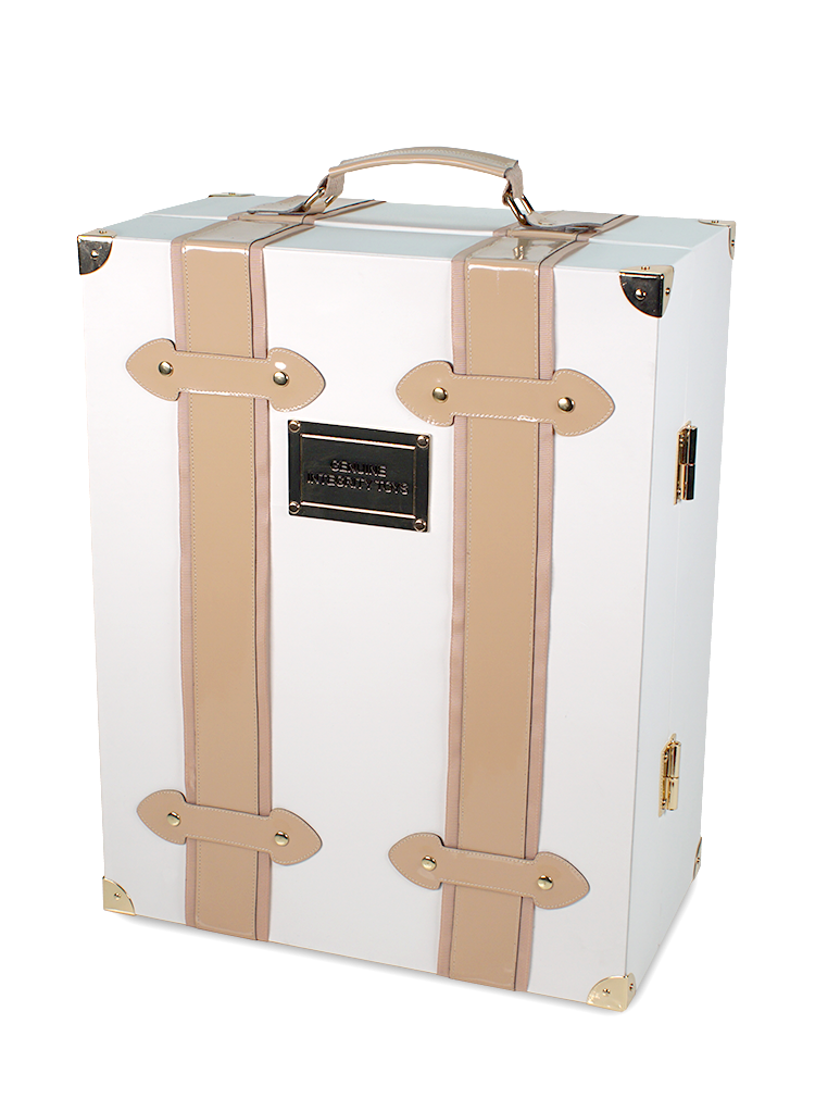 Dolly Days 2024 - Day 4: A modular trunk system! — Fashion Doll Chronicles