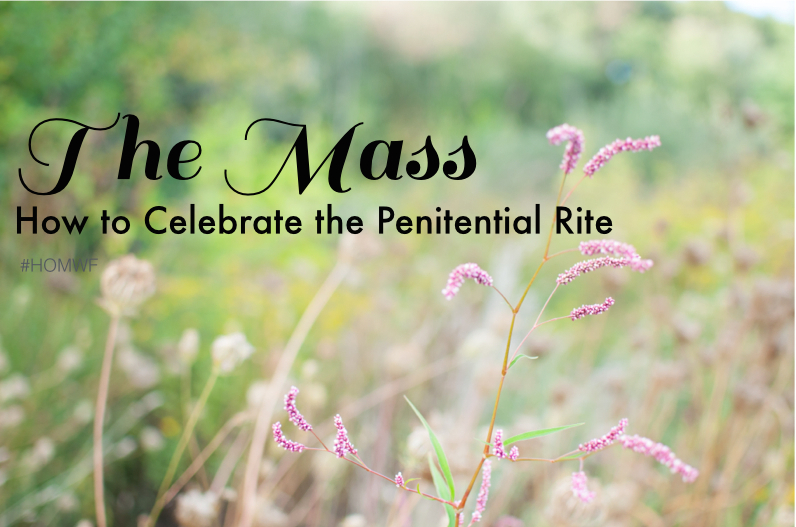 The Mass // How to Celebrate the Penitential Rite — Heart of Mary