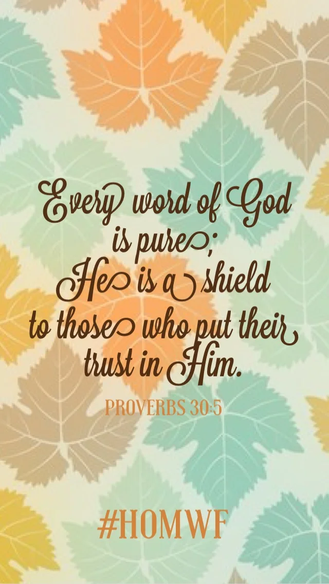 Art for the Heart/Proverbs 30:5 — Heart of Mary