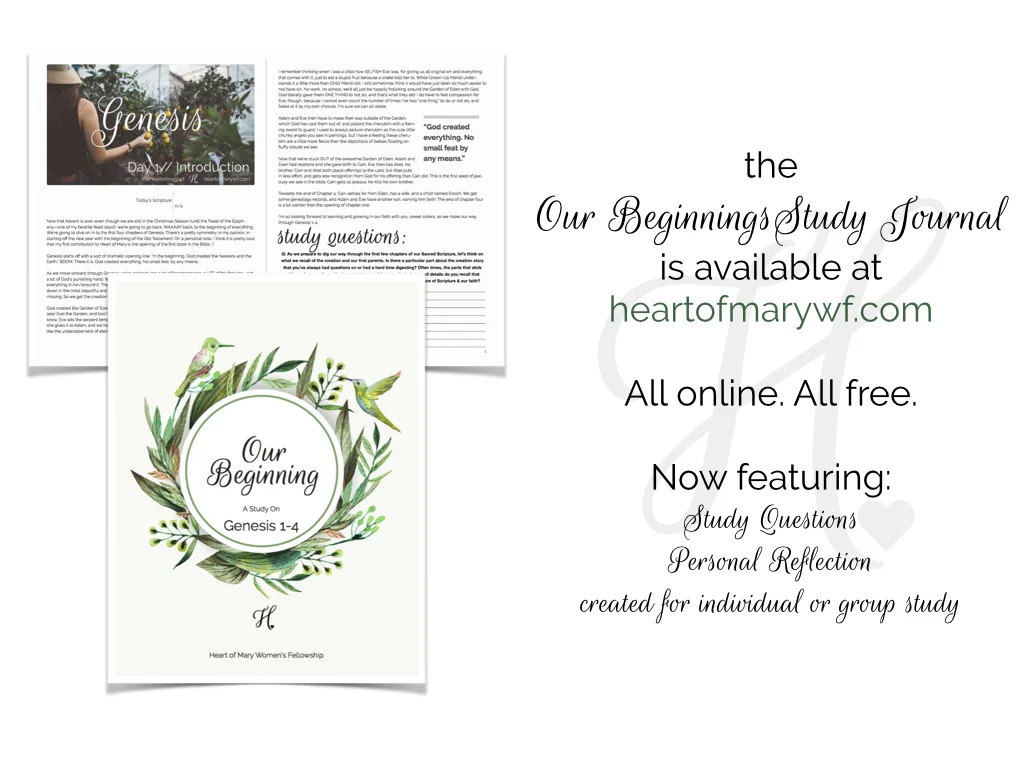 Genesis 1-4 — Heart of Mary