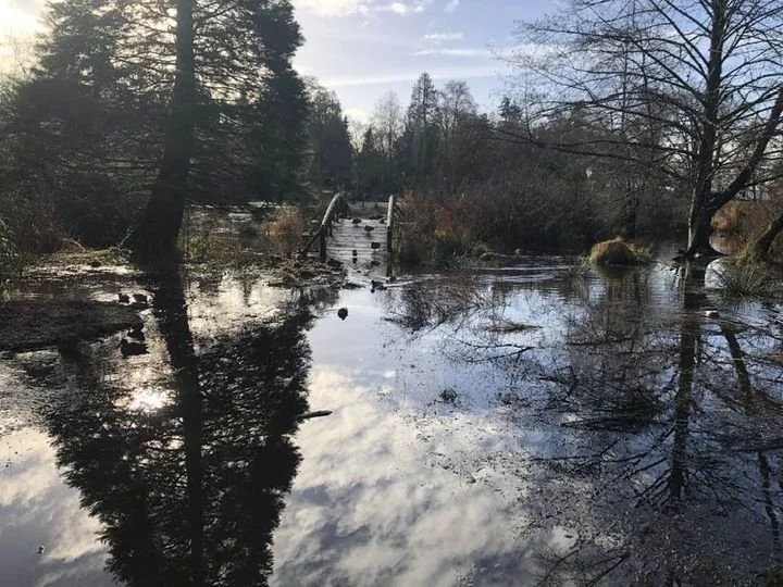 THE TALK OF THE TOWN — The West End Journal