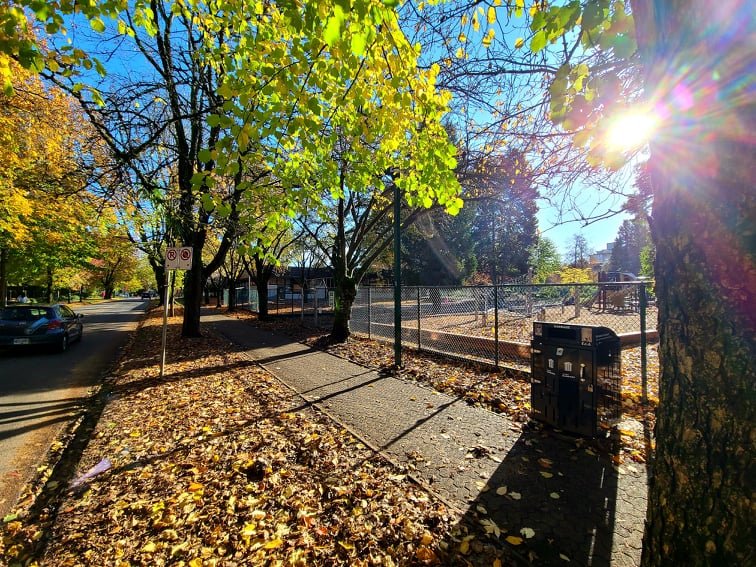 A CLOSER LOOK — The West End Journal