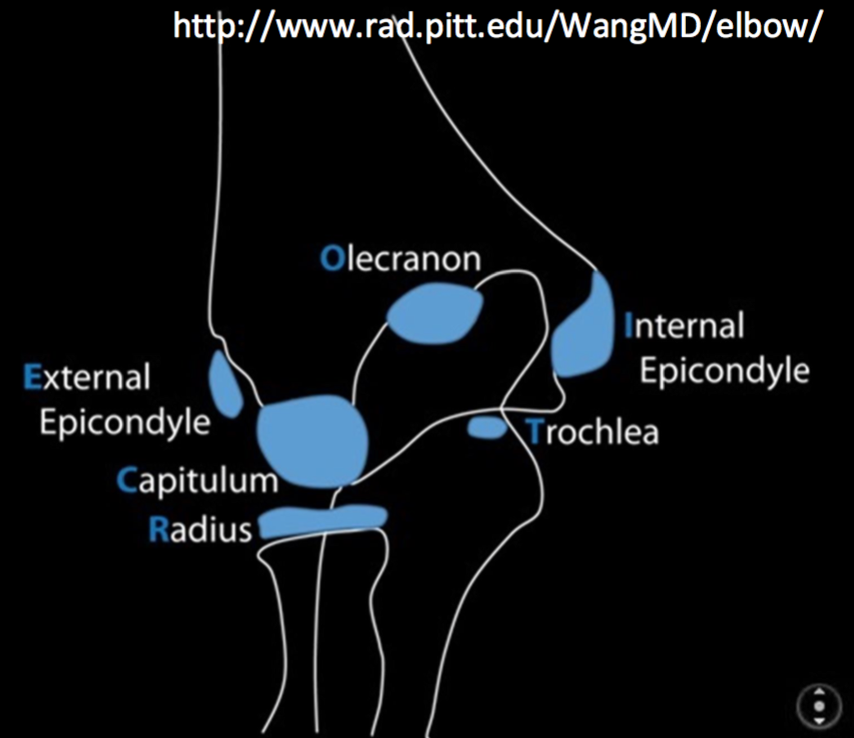 Interpreting Elbow and Forearm Radiographs — Taming the SRU