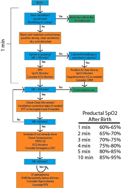 Nrp Algorithm Printable 2017