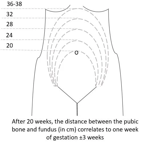 AirCare Series: Resuscitative Hysterotomy — Taming the SRU