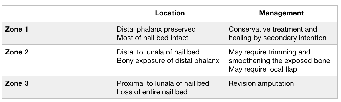 Minor Care Series: Fingertip Injuries — Taming the SRU