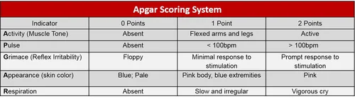 Air Care Series: Not Just Little Adults, Neonatal Resus — Taming the SRU