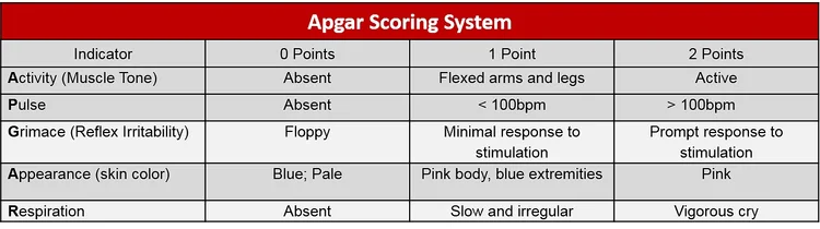 Air Care Series: Not Just Little Adults, Neonatal Resus — Taming the SRU