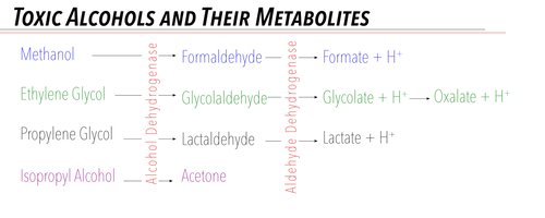 Diagnostics - Toxic Alcohols — Taming the SRU