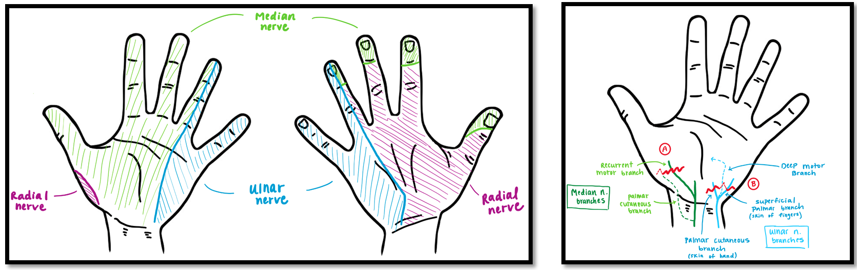 Mastering Minor Care: Hand Lacerations — Taming the SRU