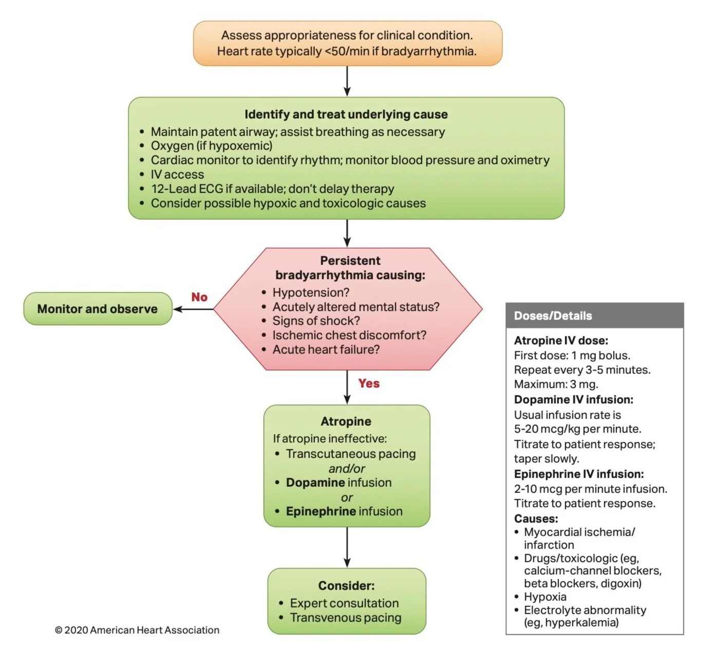 Therapeutics: Pacing Through Skin and Vein — Taming the SRU