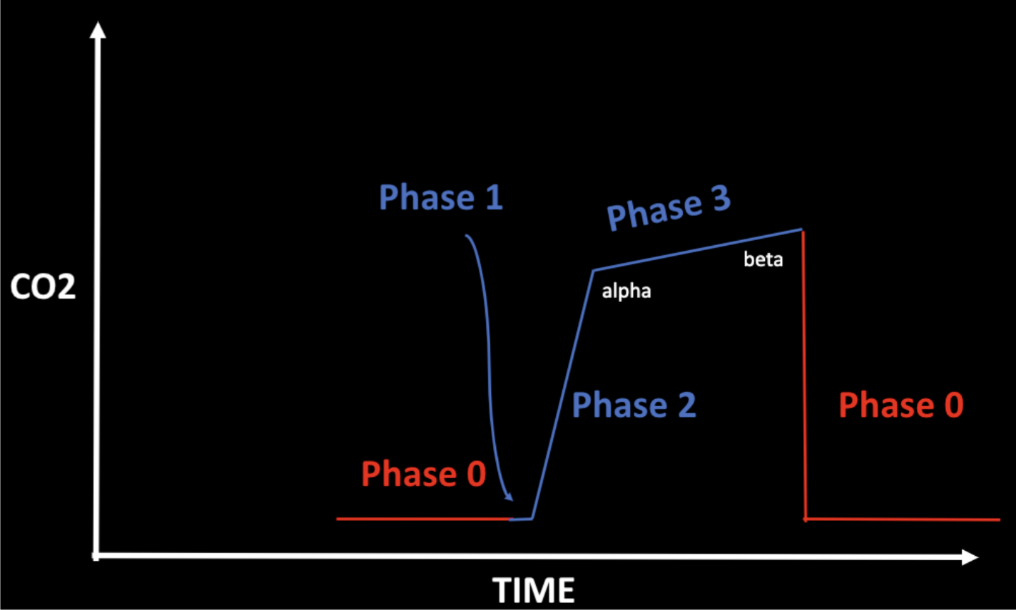 Riding the Waves: End-Tidal CO2 Monitoring — Taming the SRU
