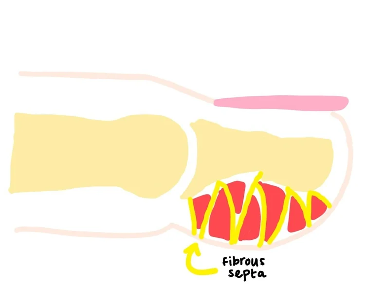 Mastering Minor Care: Paronychia and Felon — Taming the SRU