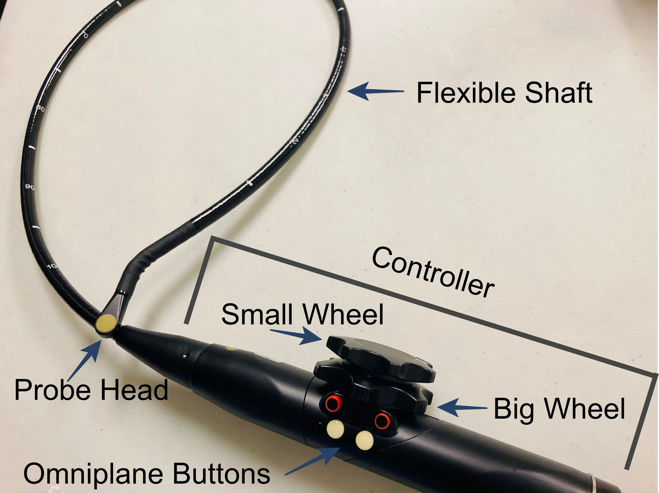 Scanning School - TEE Basics: The Controls and the Views — Taming the SRU