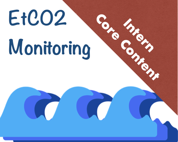 Riding the Waves: End-Tidal CO2 Monitoring — Taming the SRU