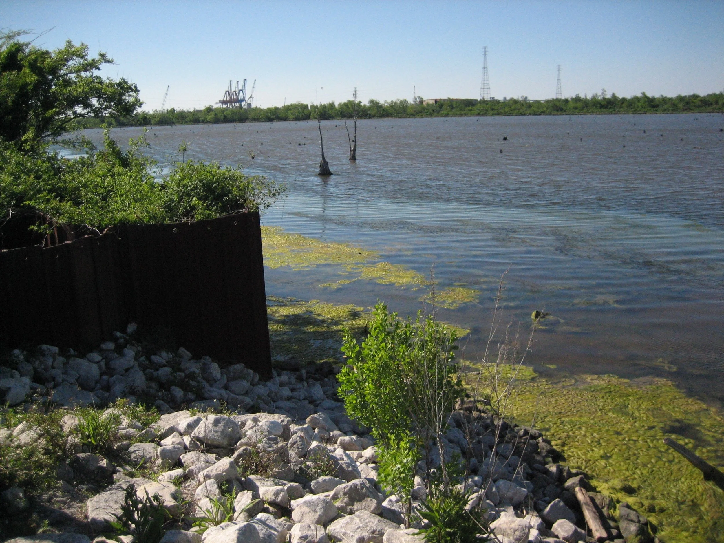 long trip new orleans — KAYE LBA