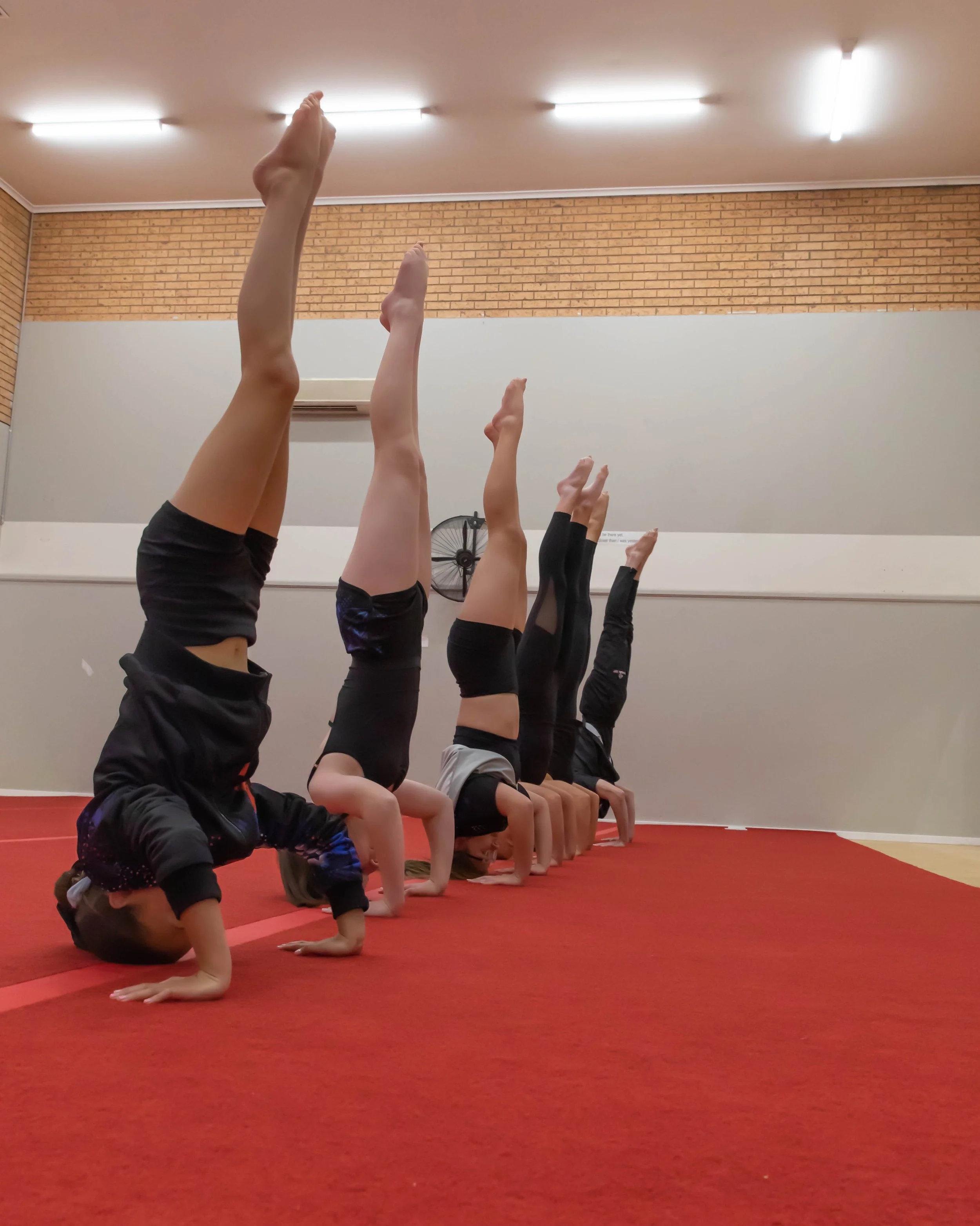 Performances — Bom Funk Dance Studio