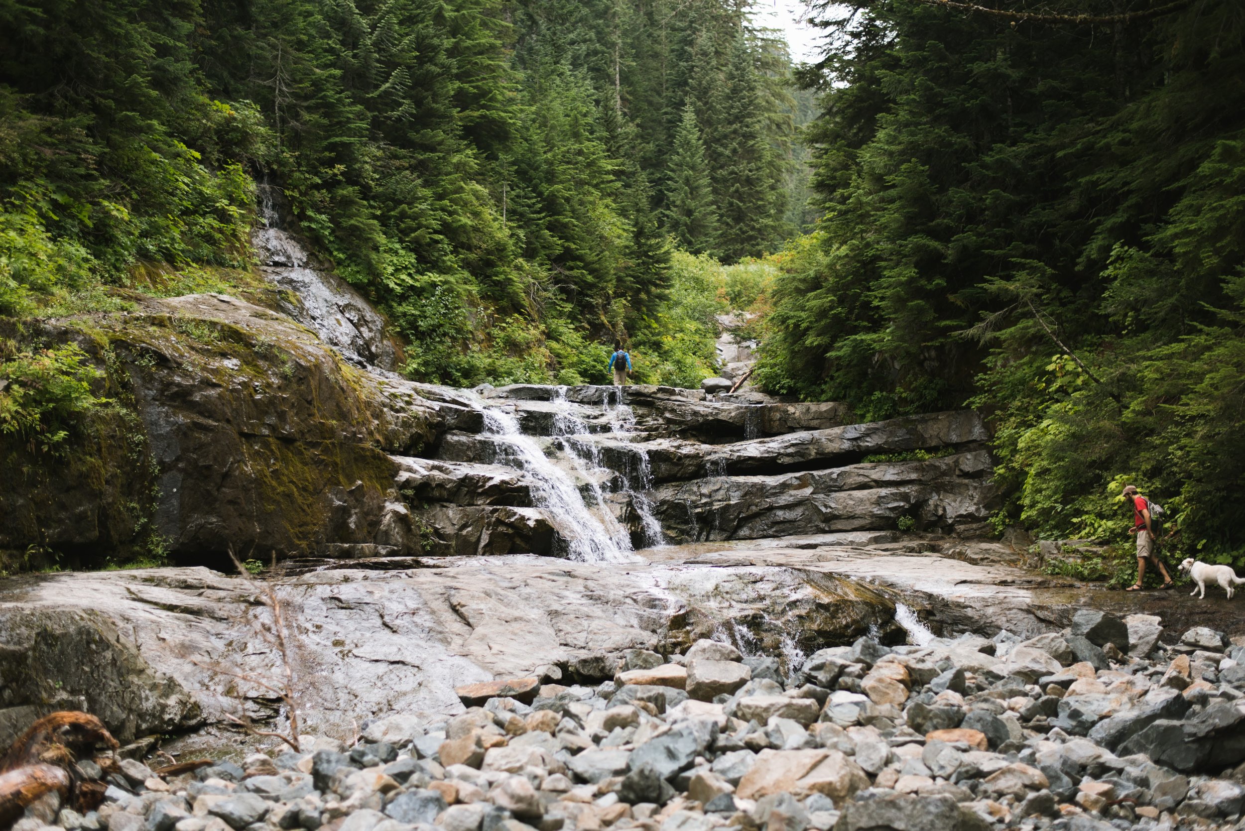 Sharon Chen Photography