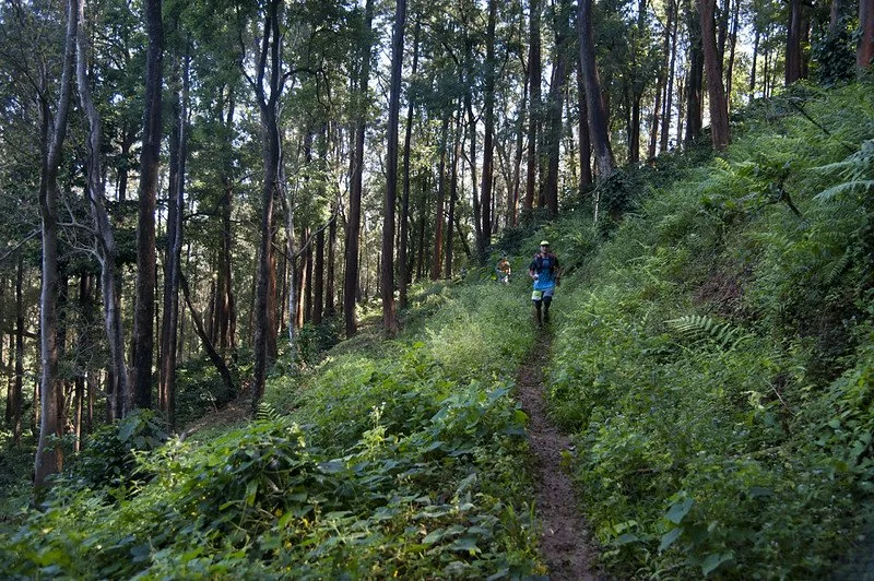 Malnad Ultra in India opens registration this Friday — Asia Trail Master