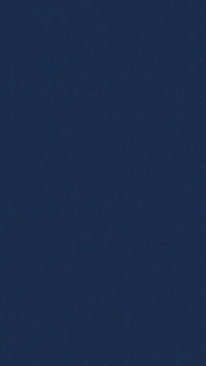 PT Insurindo Interservices