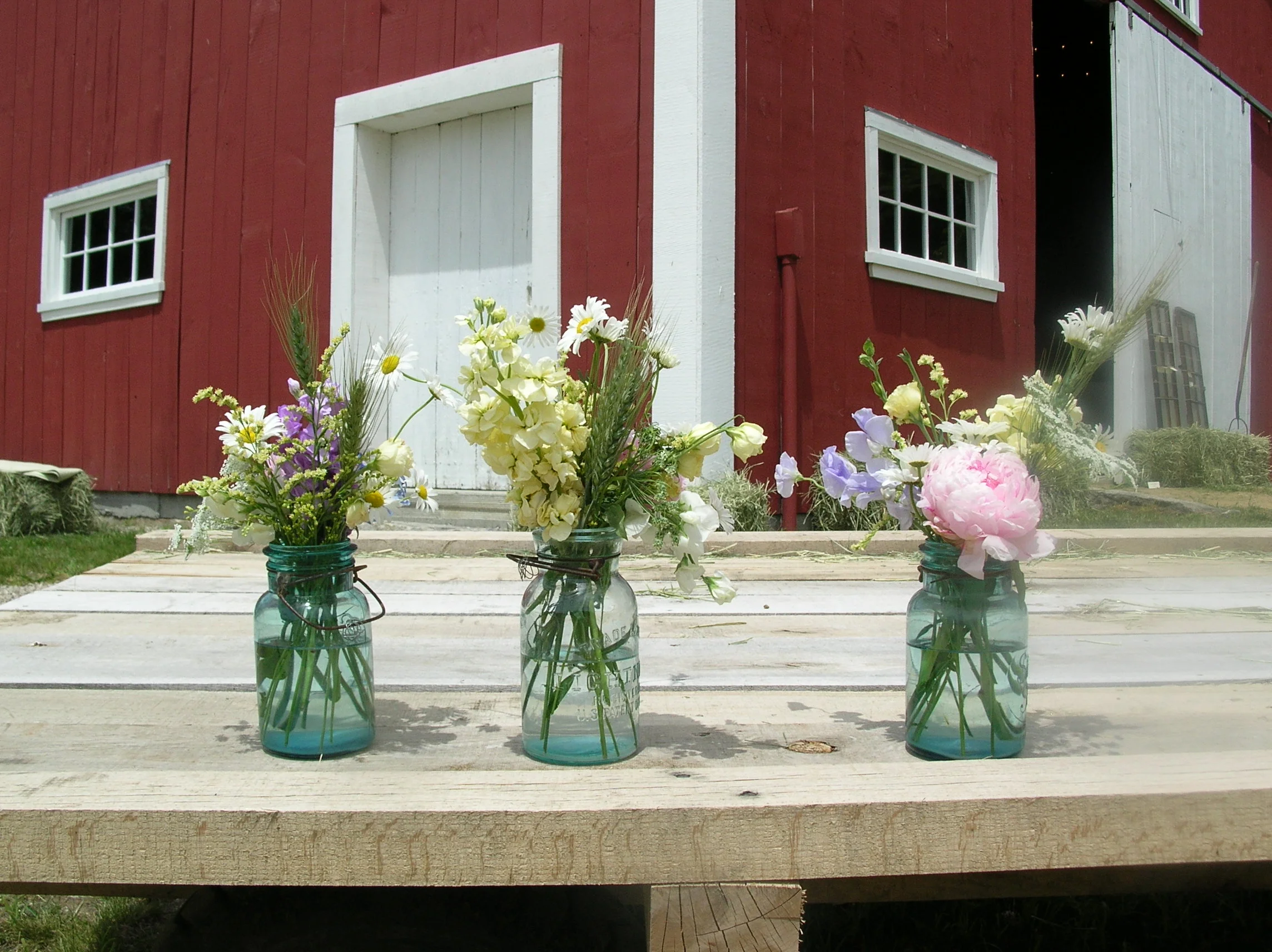 Kitz Farm - Gallery — Kitz Farm