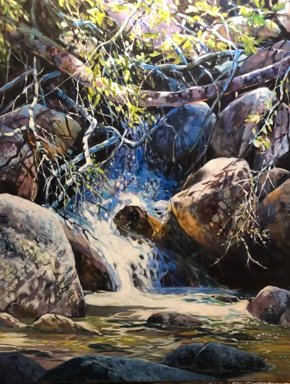 “Colour in the acrylic landscape” - with JANICE ROBERTSON — Dene Croft