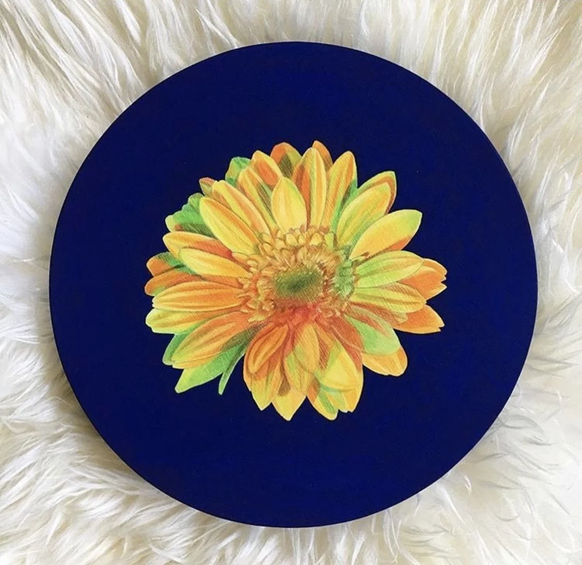 Gallery — Rachel M Silva