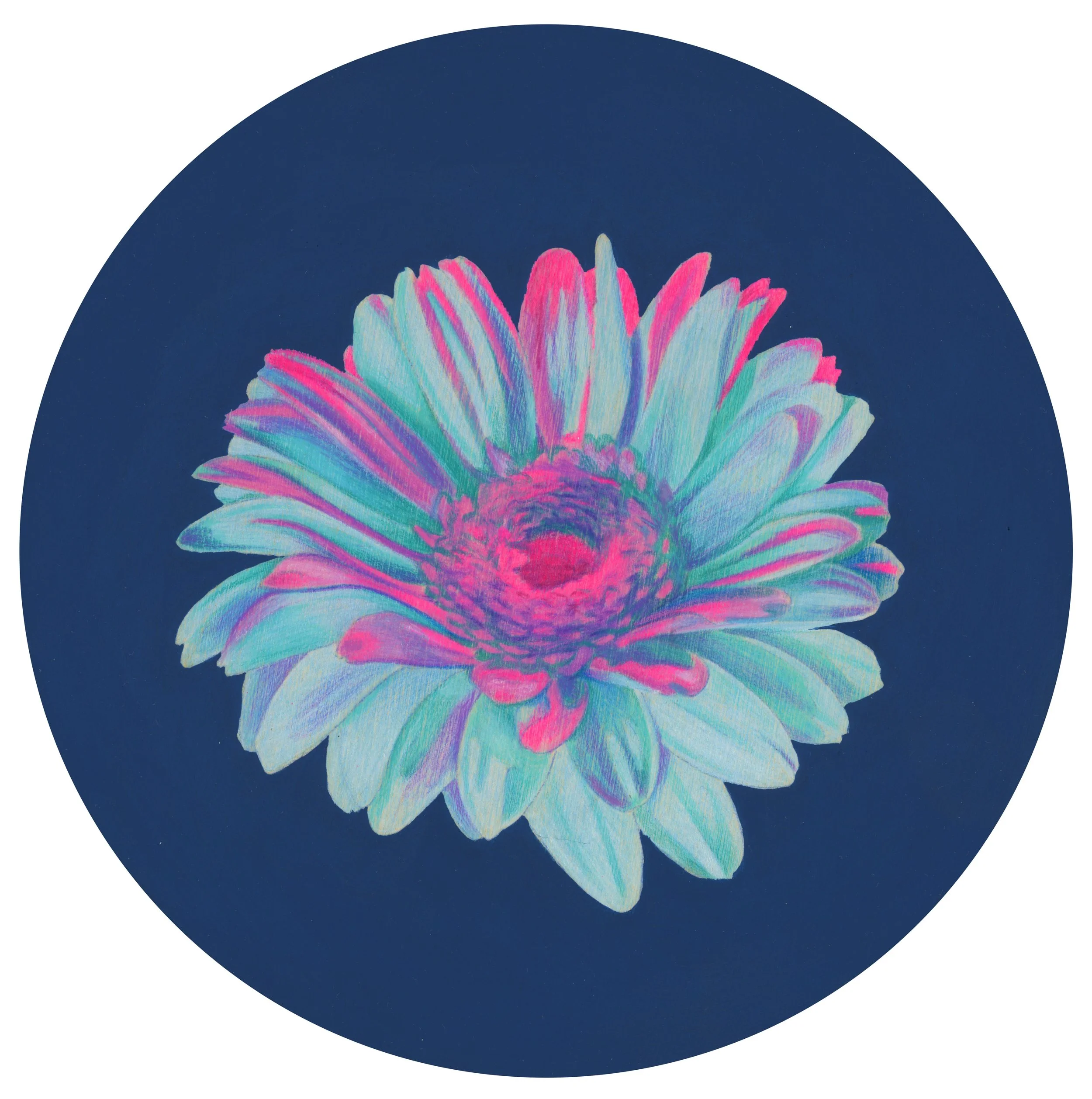 Gallery — Rachel M Silva