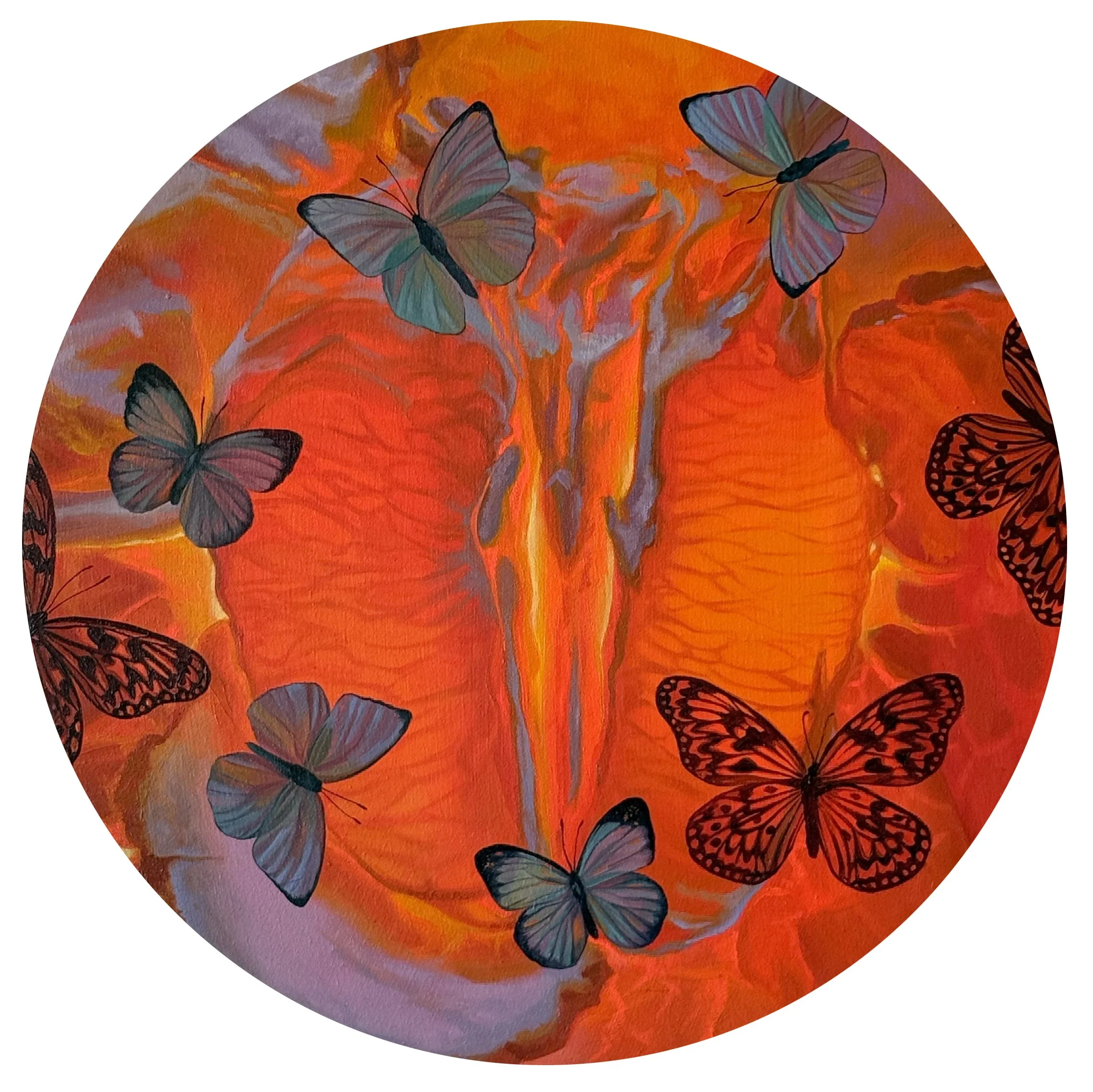 Gallery — Rachel M Silva
