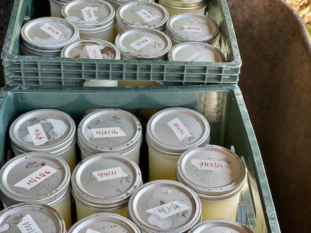 Nan's Raw Goat Milk — Jeffrey's Natural Pet Foods