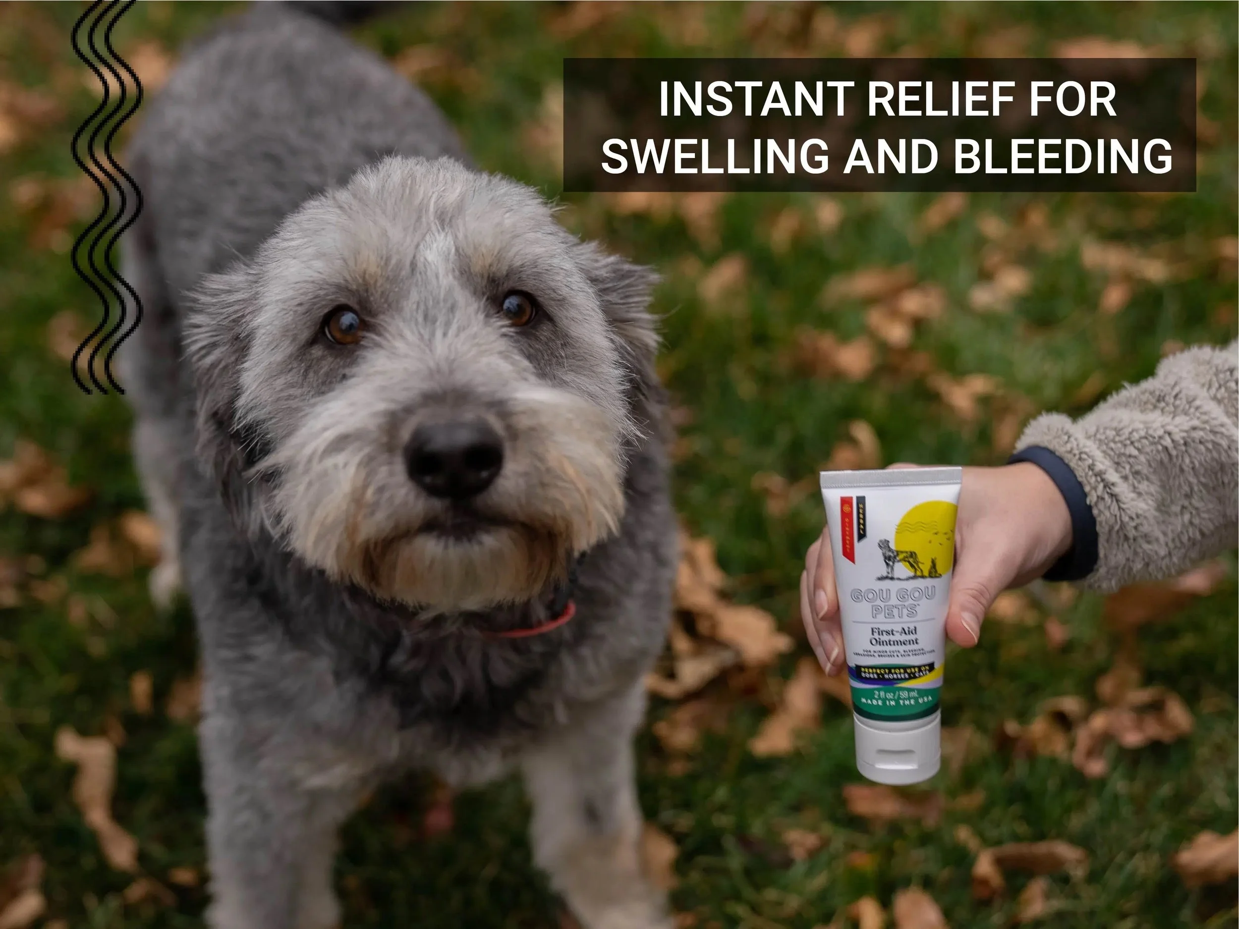 Curicyn Wound and Skin Care Solution — Jeffrey's Natural Pet Foods Curicyn Wound and Skin Care Solution — Jeffrey's Natural Pet Foods