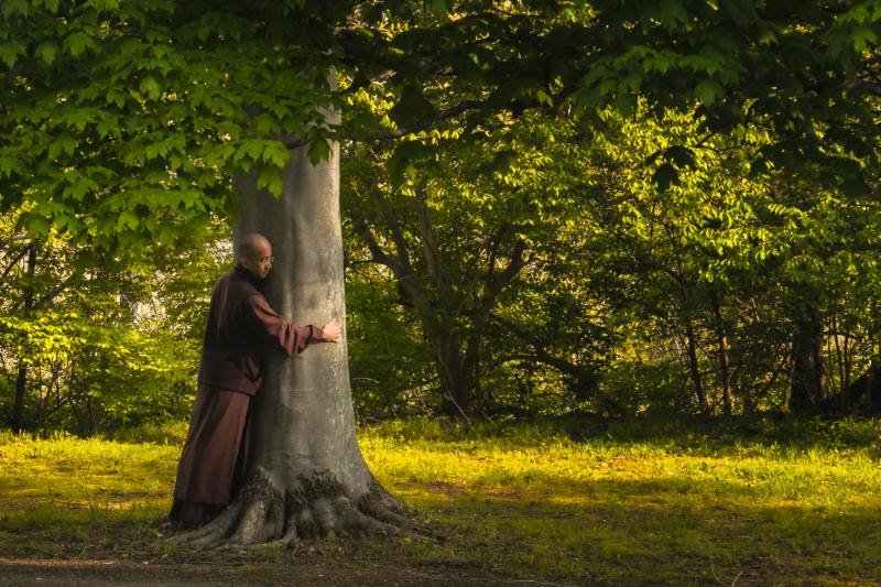 About Our Retreats — BLUE CLIFF MONASTERY