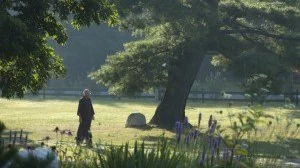 BLUE CLIFF MONASTERY