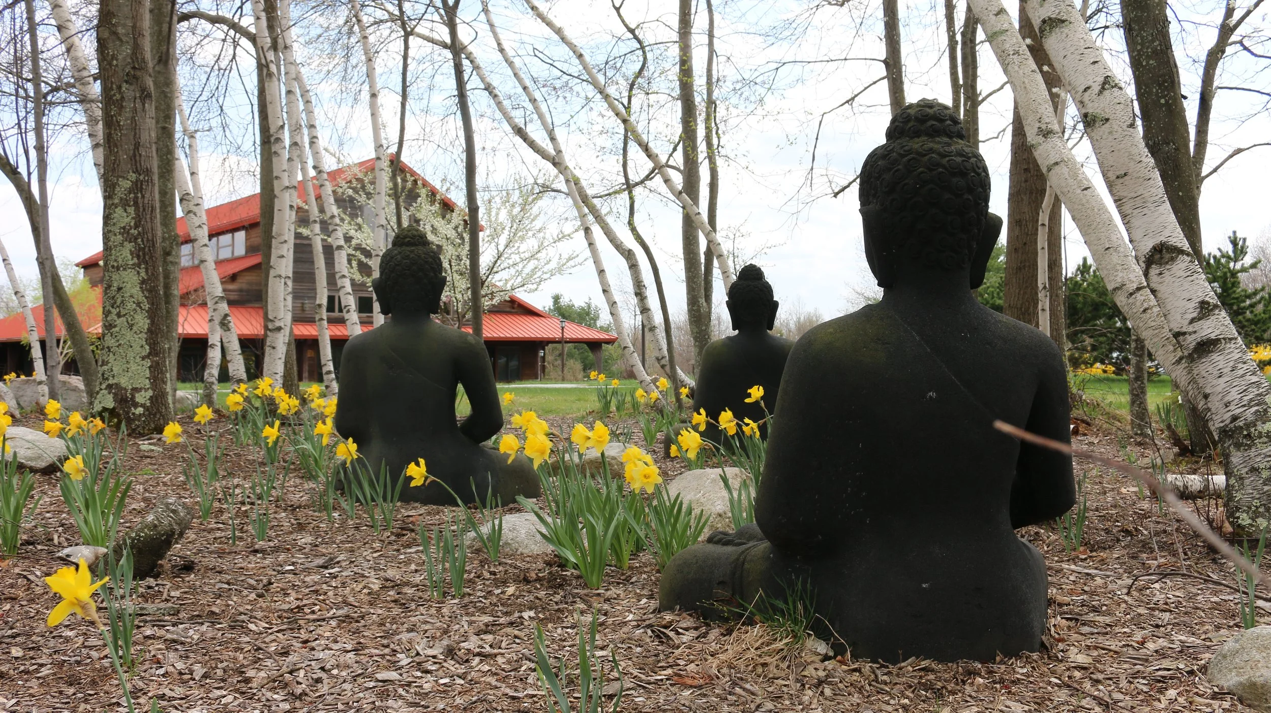 Schedule of Events — BLUE CLIFF MONASTERY