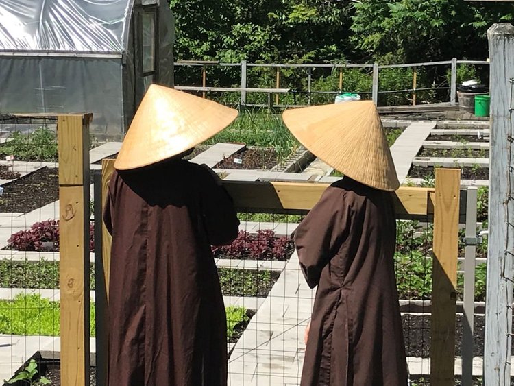 About Our Retreats — BLUE CLIFF MONASTERY