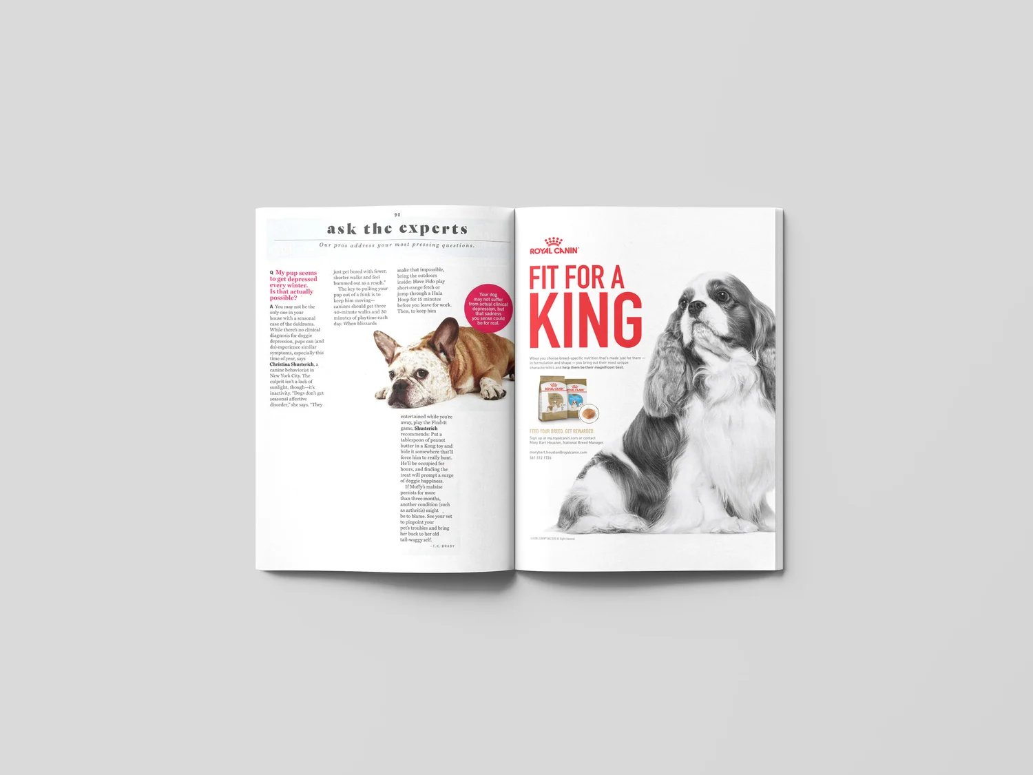 Royal Canin Breed Ads — Rachel Garozzo