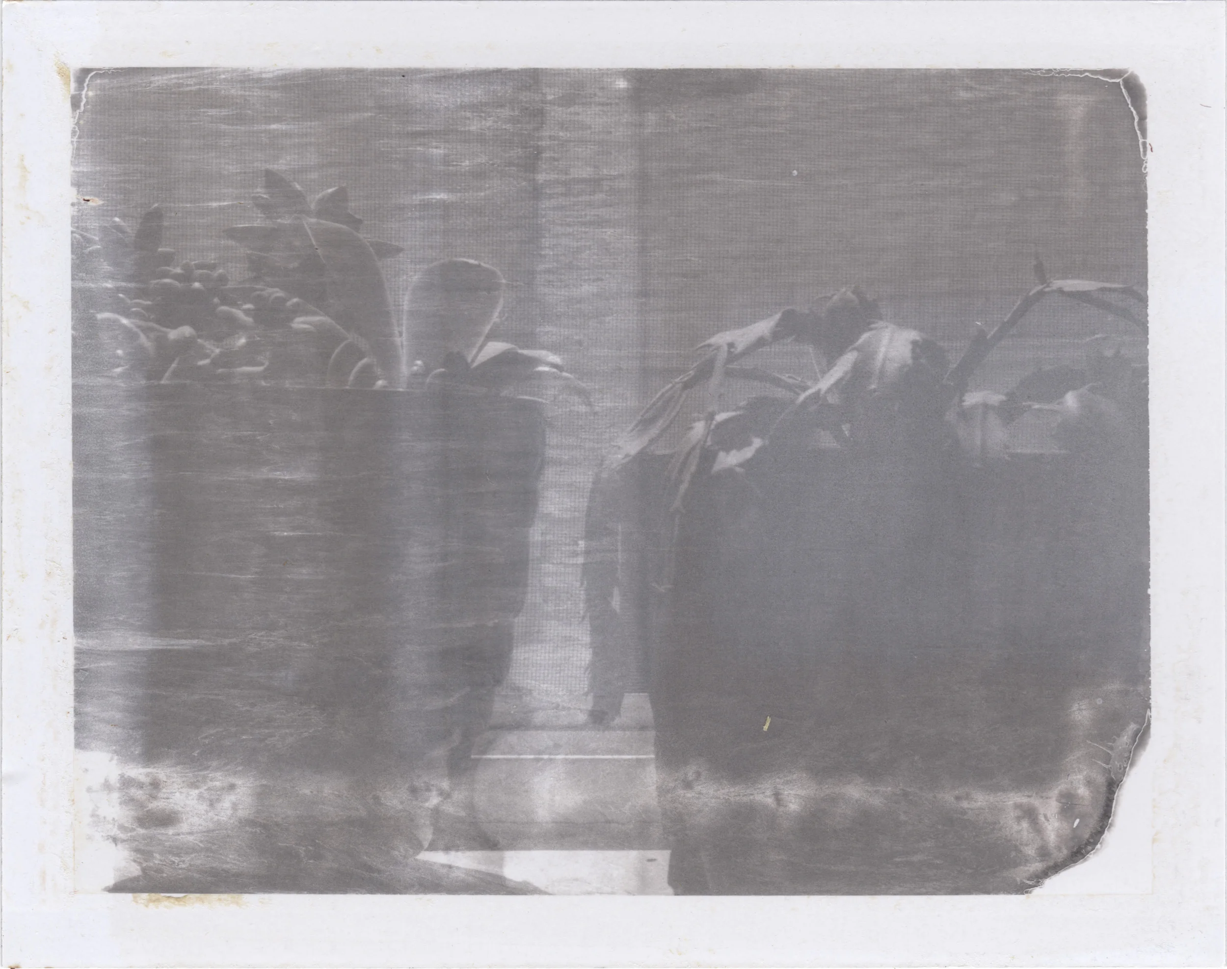 Polaroid 100 Land Camera Review — Joseph Saunders Photography