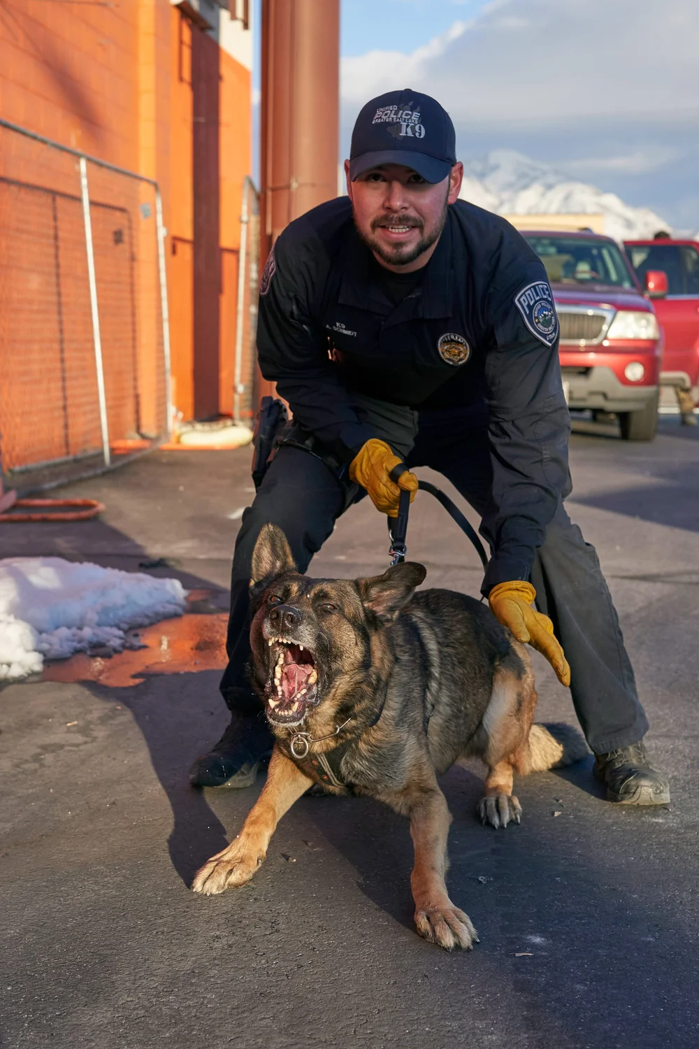 Do K9 Dogs Go Home With Officer