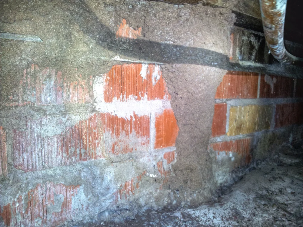 Ant capping - how does it work? — The Termite Trackers - Termite ...