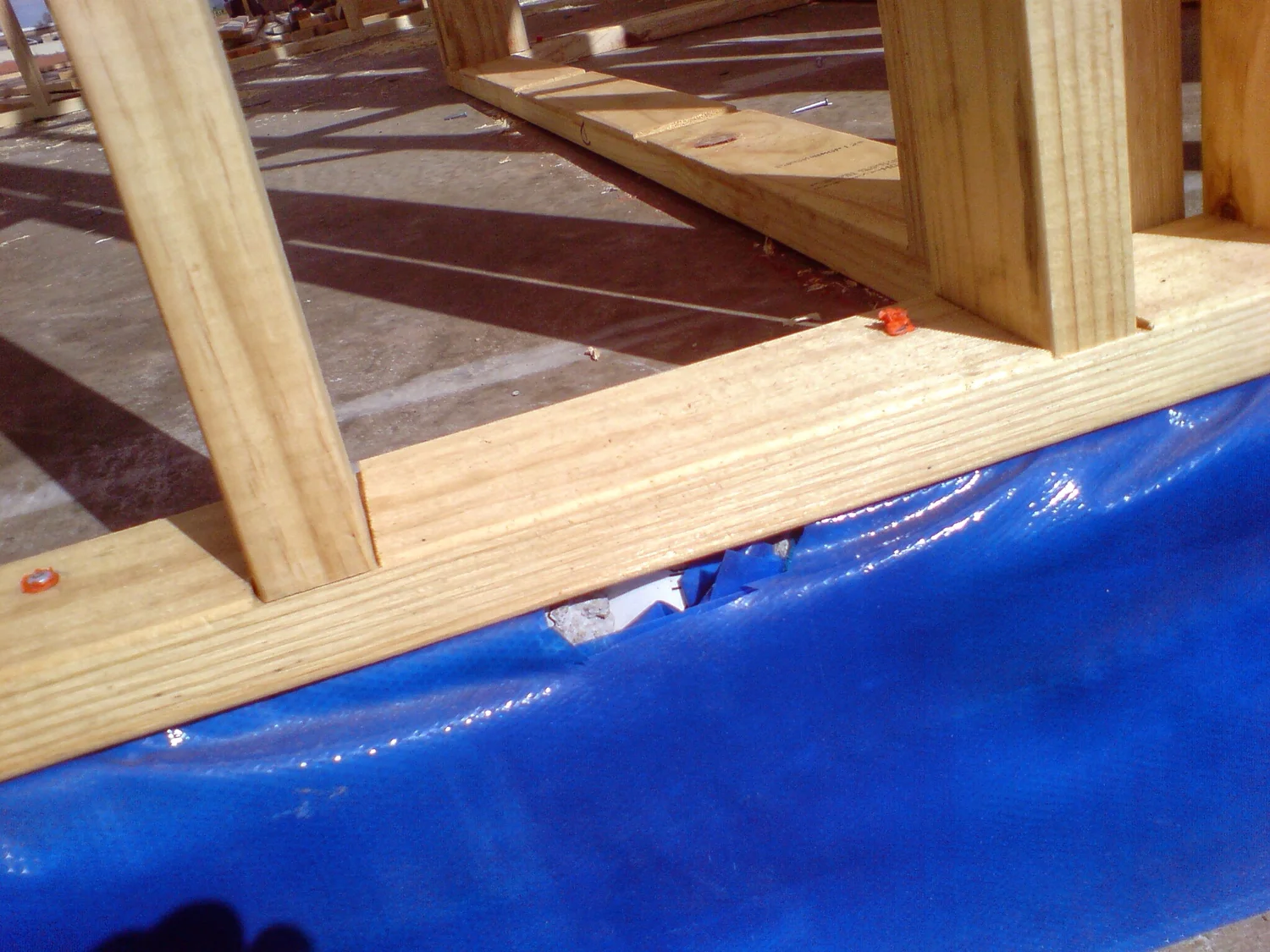 When Termite barriers go wrong.... — The Termite Trackers - Termite ...