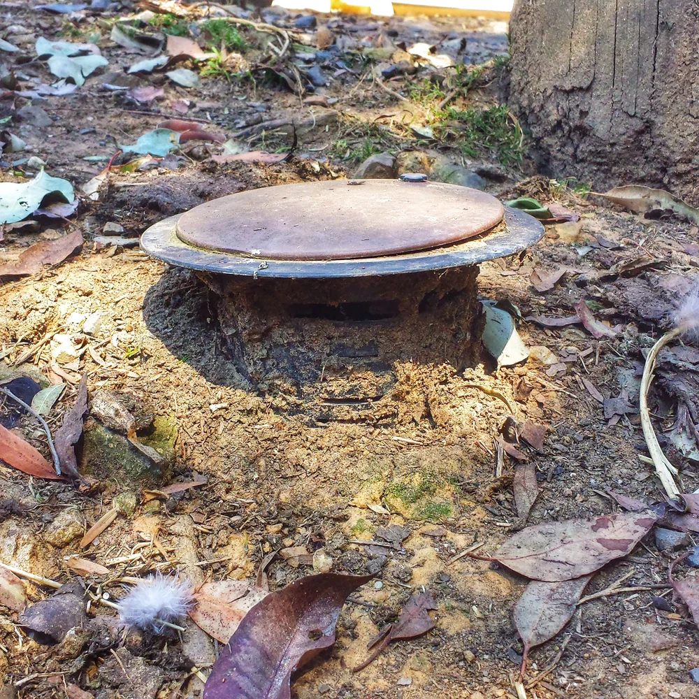 It's abandoned - termite bait stations! — The Termite Trackers ...